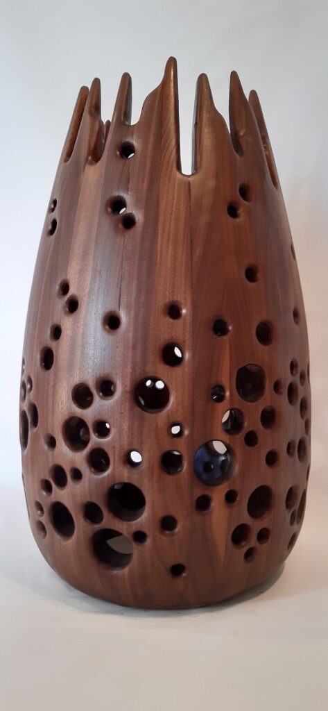 Don Service_Untitled 1 - RT Nelson Sculpture Awards